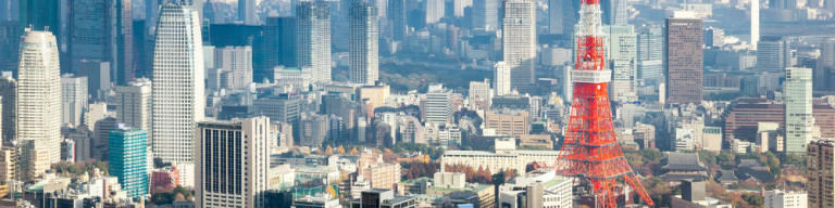 Japanese Rubber Industry